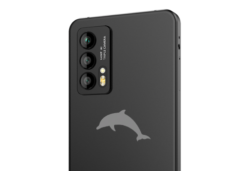 Welcome To The Cosmic Dolphins SA